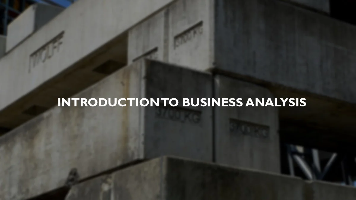 Introduction To Business Analysis